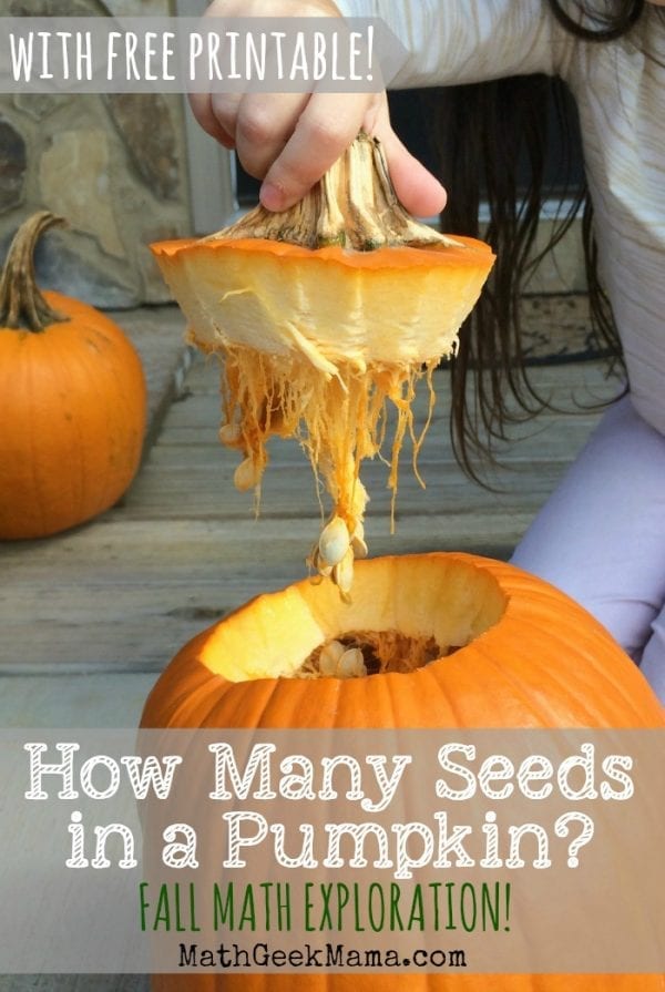 How Many Seeds in a Pumpkin? Fall Estimation Fun!