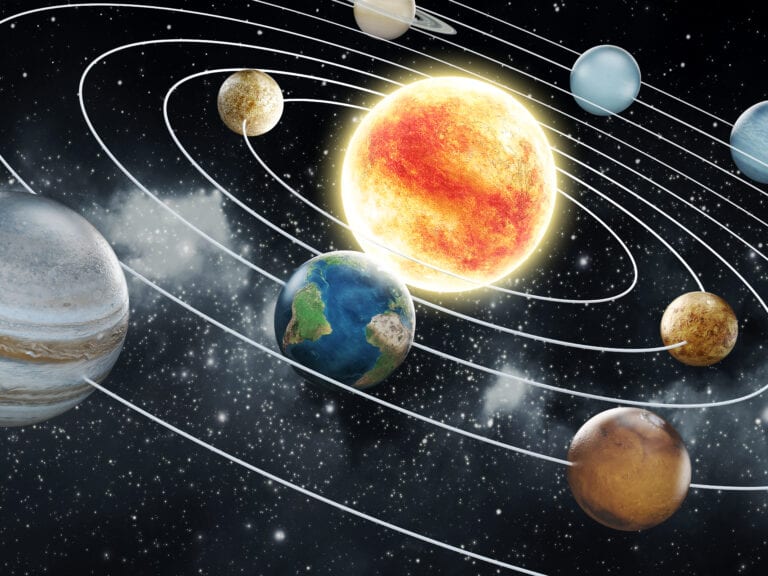 Math in Nature: 5 Stunning Ways We See Math in the World