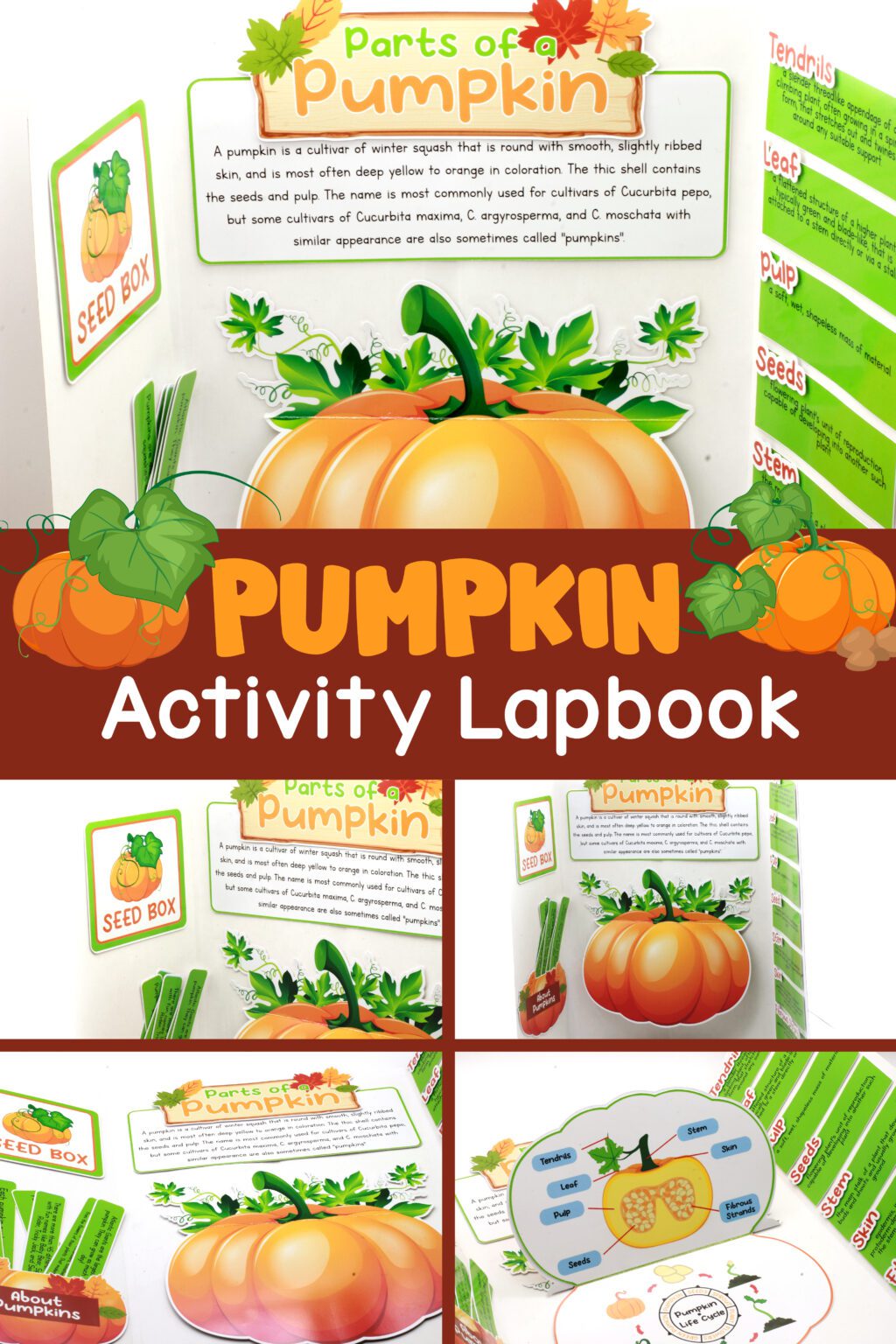 {FREE} All About Pumpkins: Interactive Folder for Kids | Printable